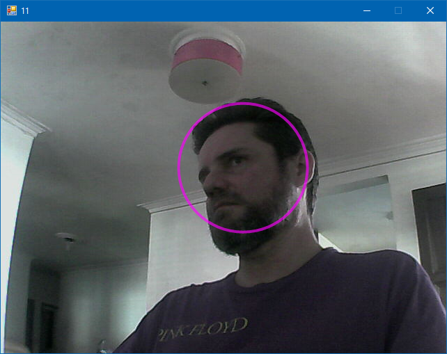 GitHub - morphx666/FaceDetection: Simple face detection using Emgu.CV